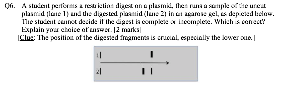 Solved Q6. A student performs a restriction digest on a | Chegg.com