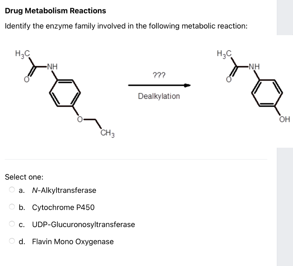 Solved Drug Metabolism Reactions Identify the enzyme family | Chegg.com