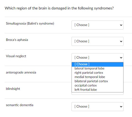 Solved Which region of the brain is damaged in the following | Chegg.com
