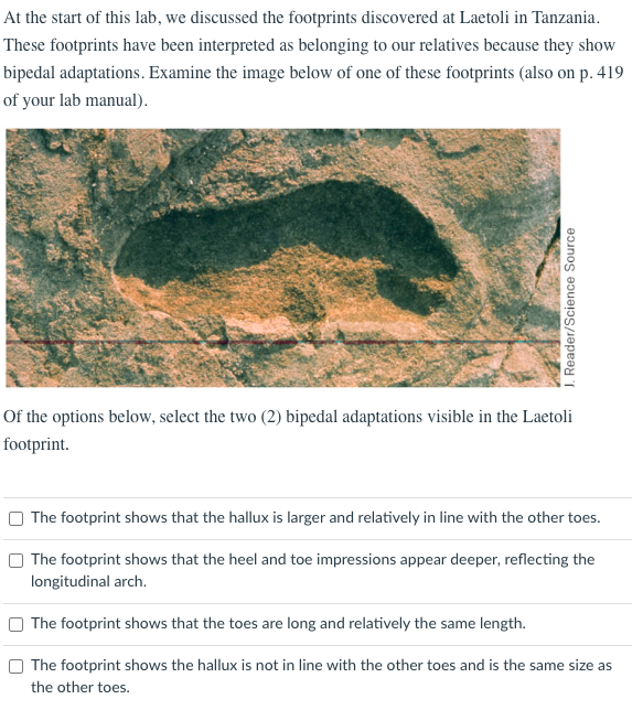 Solved At the start of this lab, we discussed the footprints | Chegg.com