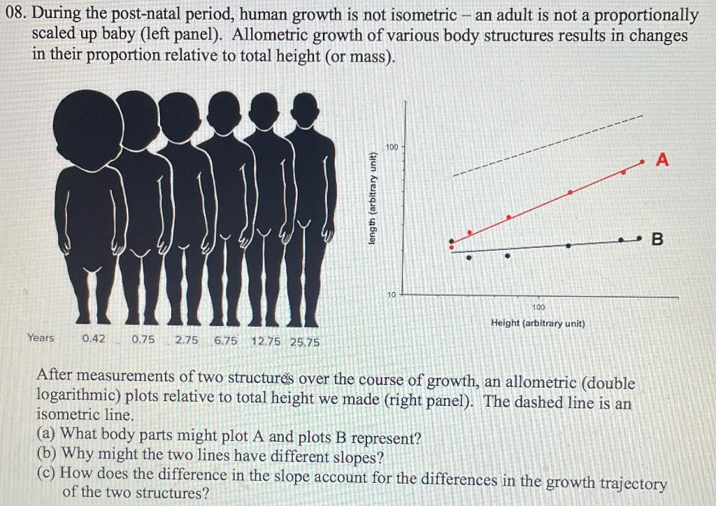 Solved 08. During the post-natal period, human growth is not | Chegg.com