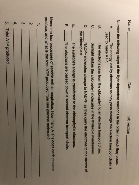 Solved Name Date Lab Section Number the following steps of | Chegg.com