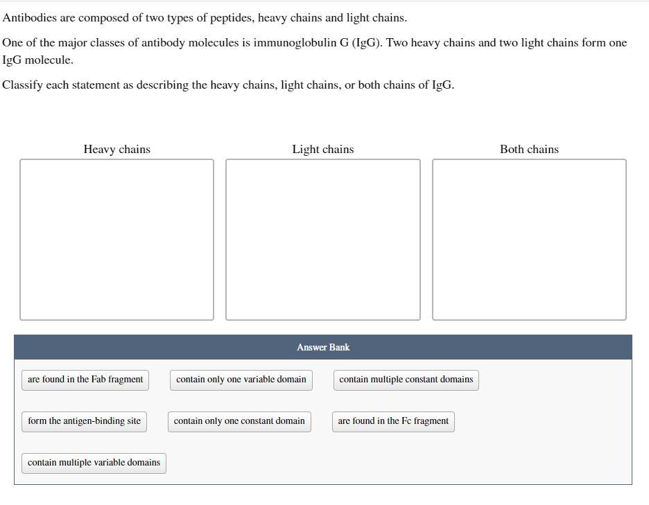 Solved Antibodies are composed of two types of peptides, | Chegg.com