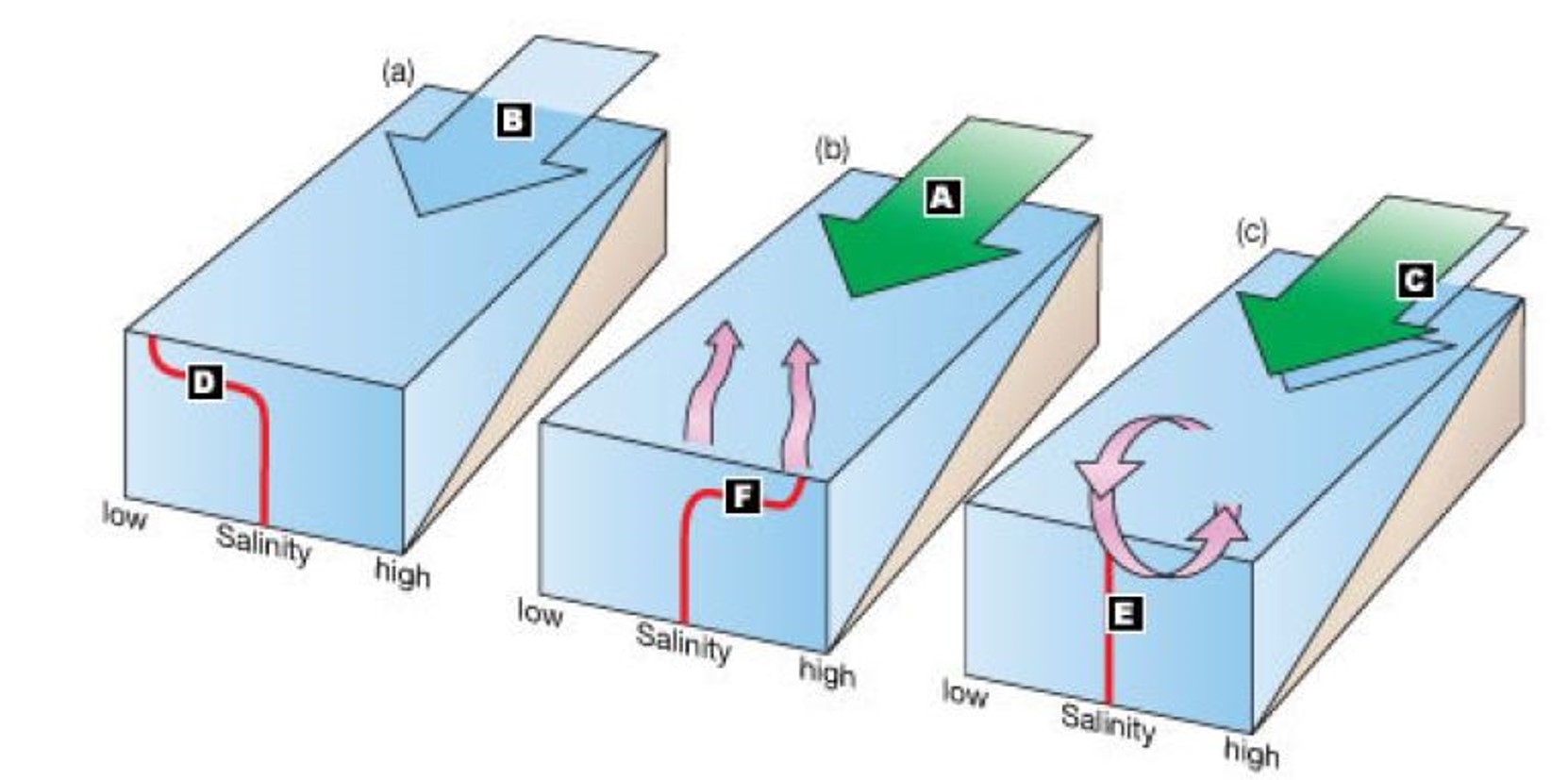 Solved Vertically mixed estuary [ Choose ] Estuary | Chegg.com