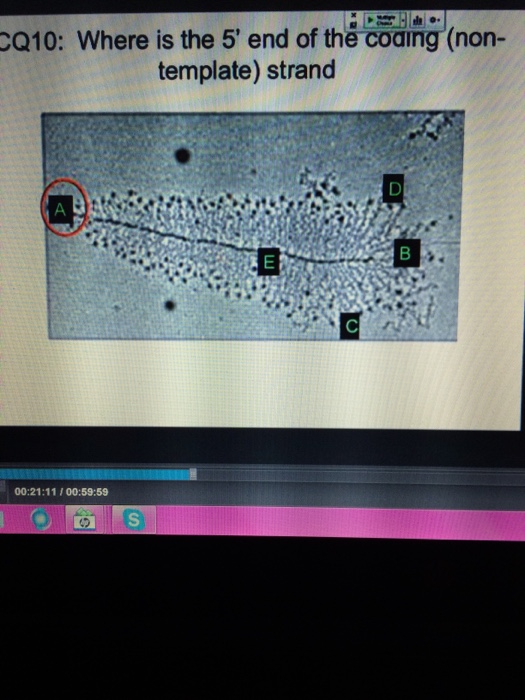 Solved please explain why the answers circled are correct | Chegg.com