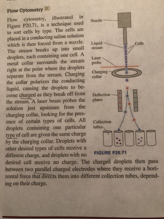 Solved Flow Cytometry Bo Flow Cytometry Illustrated In Chegg