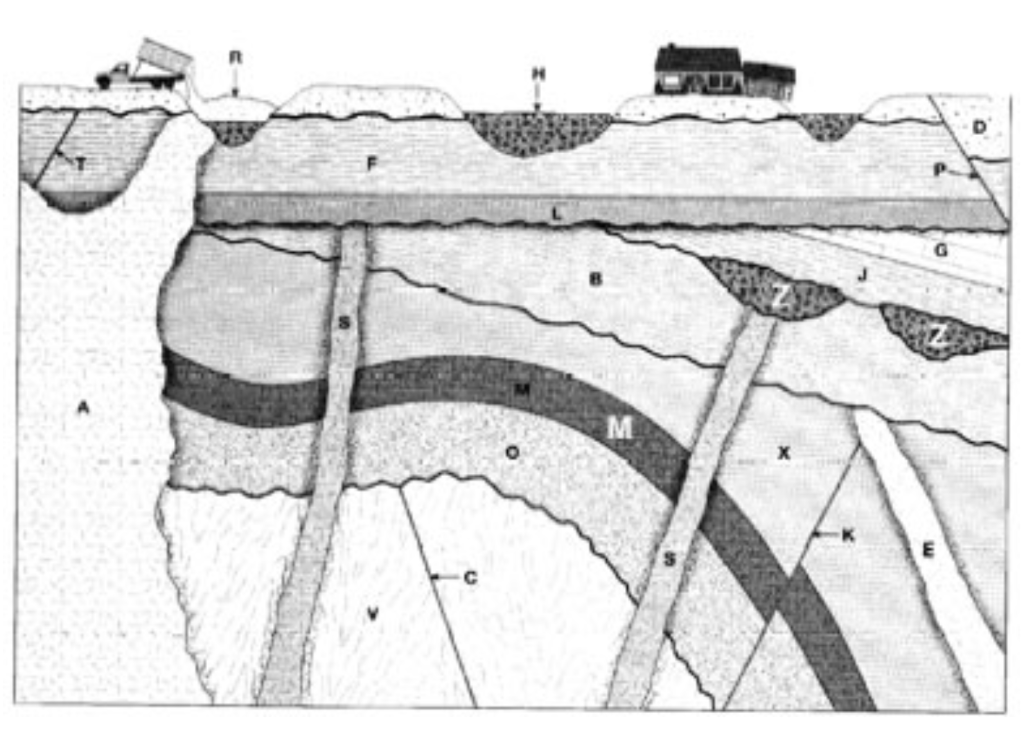 Solved Using the diagram below - list the relative ages of | Chegg.com