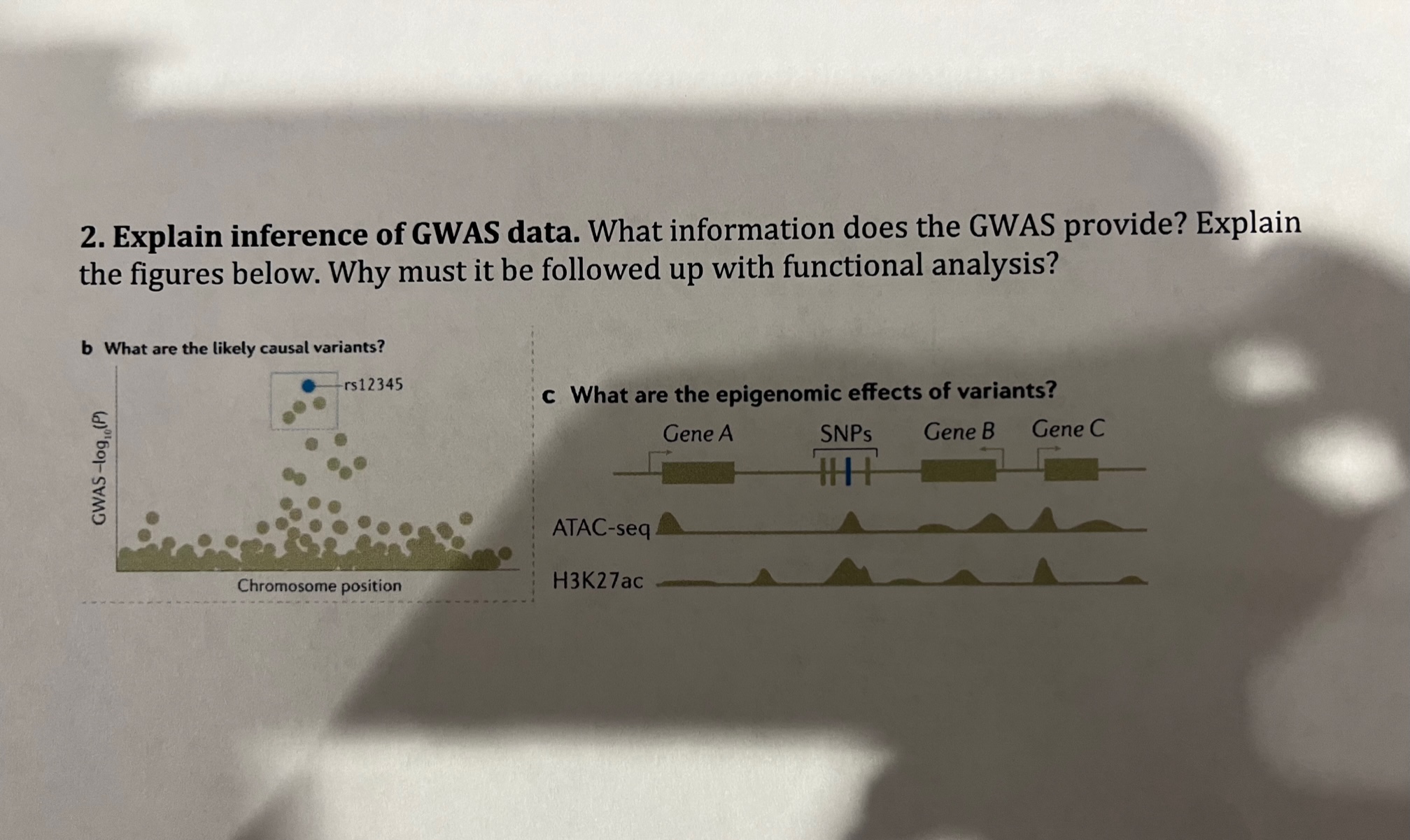 2. Explain inference of GWAS data. What information | Chegg.com