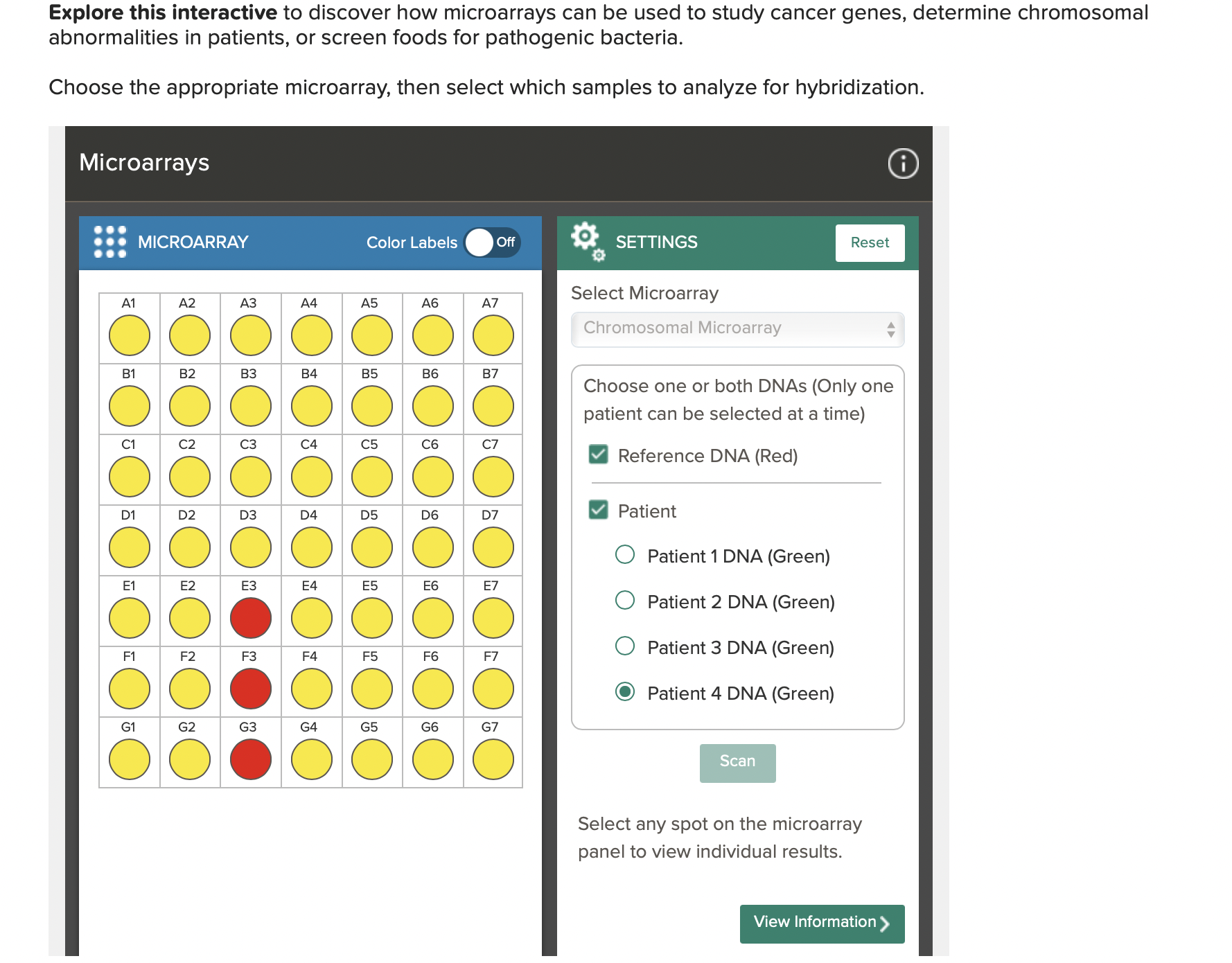 Solved Explore this interactive to discover how microarrays | Chegg.com