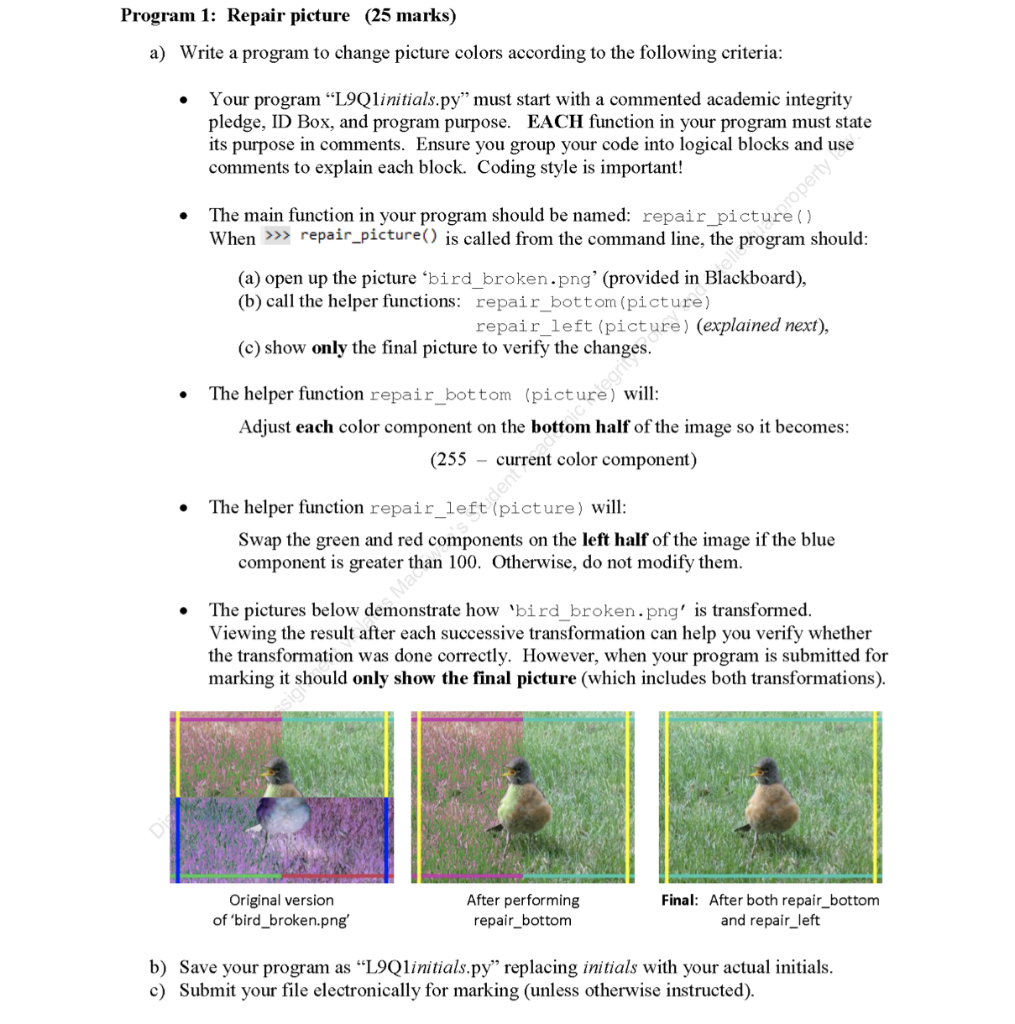 Program 1: Repair picture (25 marks) a) Write a | Chegg.com