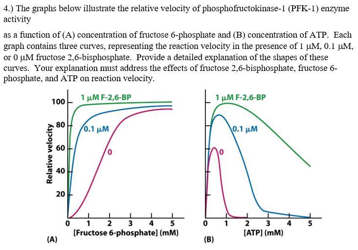 Solved 4.) The graphs below illustrate the relative velocity | Chegg.com