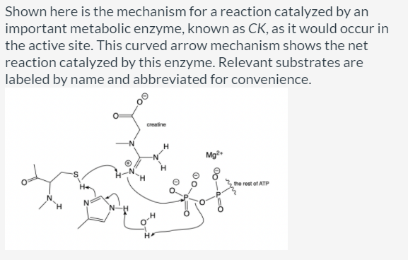 Solved Shown here is the mechanism for a reaction catalyzed | Chegg.com