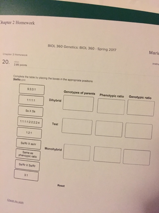 Solved 2 Homework Page 1 BIOL 360 Genetics: BIOL 360 Spring | Chegg.com