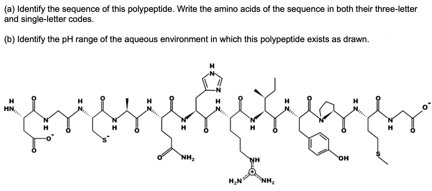 Solved (a) Identify the sequence of this polypeptide. Write | Chegg.com