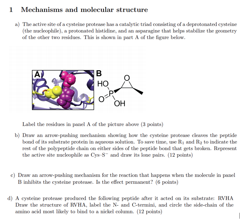 Solved 1 Mechanisms and molecular structure a) The active | Chegg.com