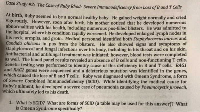Solved Case Study #2: The Case of Ruby Rhod: Severe | Chegg.com