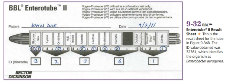 Solved Use the sample results image provided in Canvas to | Chegg.com