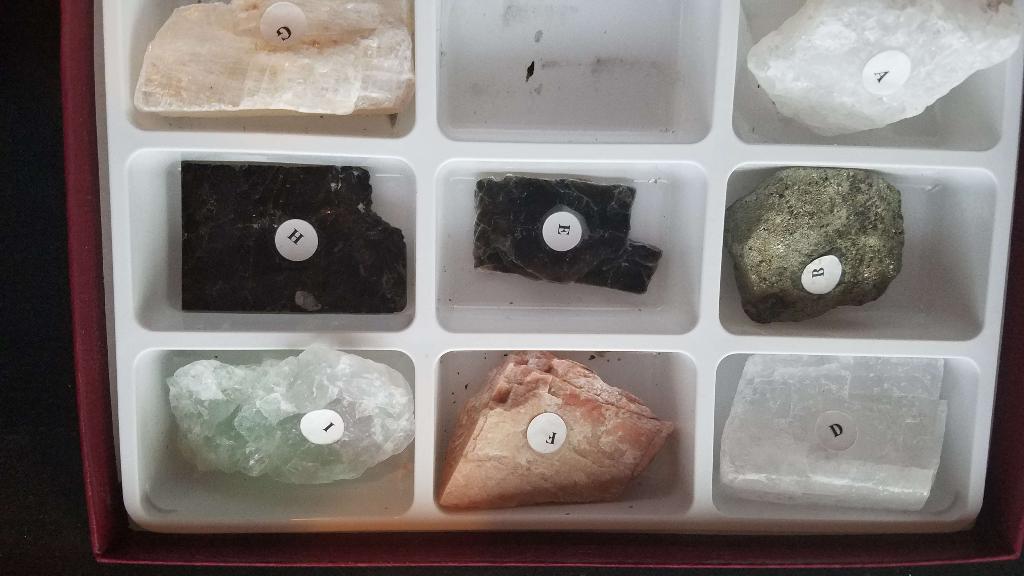 Solved 1. Sample G is an example of a: a. Clastic | Chegg.com
