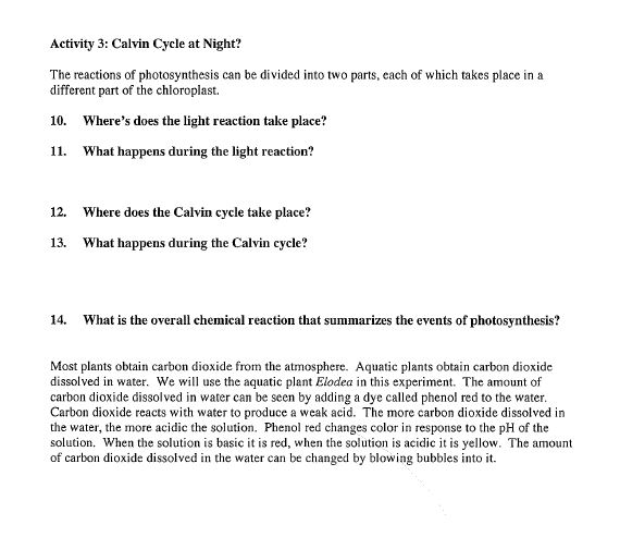 Solved Activity 3: Calvin Cycle at Night? The reactions of | Chegg.com