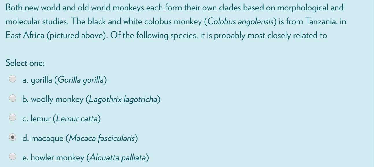Both new world and old world monkeys each form their | Chegg.com