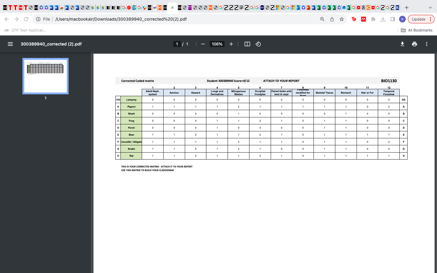 Corrected Coded matrix Student 300389940 Score =9/12 | Chegg.com