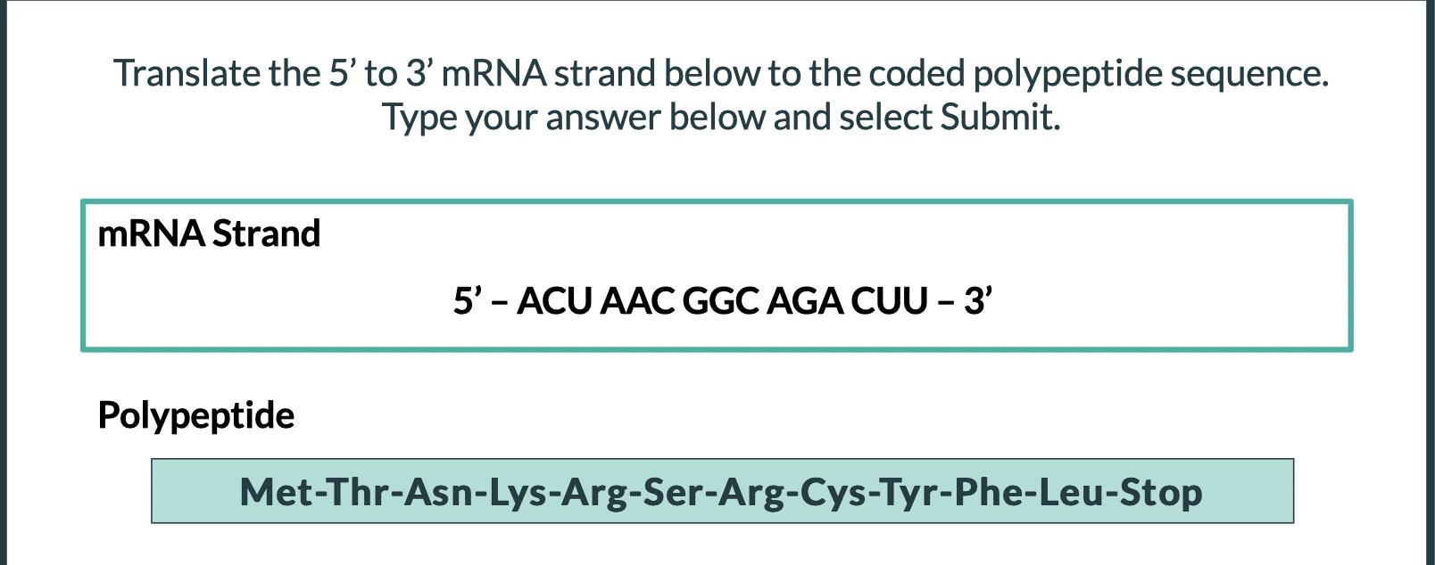 Solved Create a 3' to 5' template strand from the 5' to 3' | Chegg.com