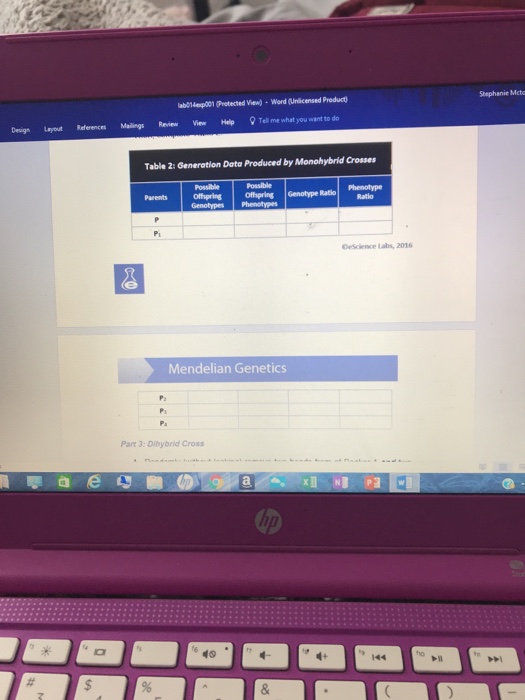 Solved Stephanie M lab014exp001 (Protected View) - Word | Chegg.com