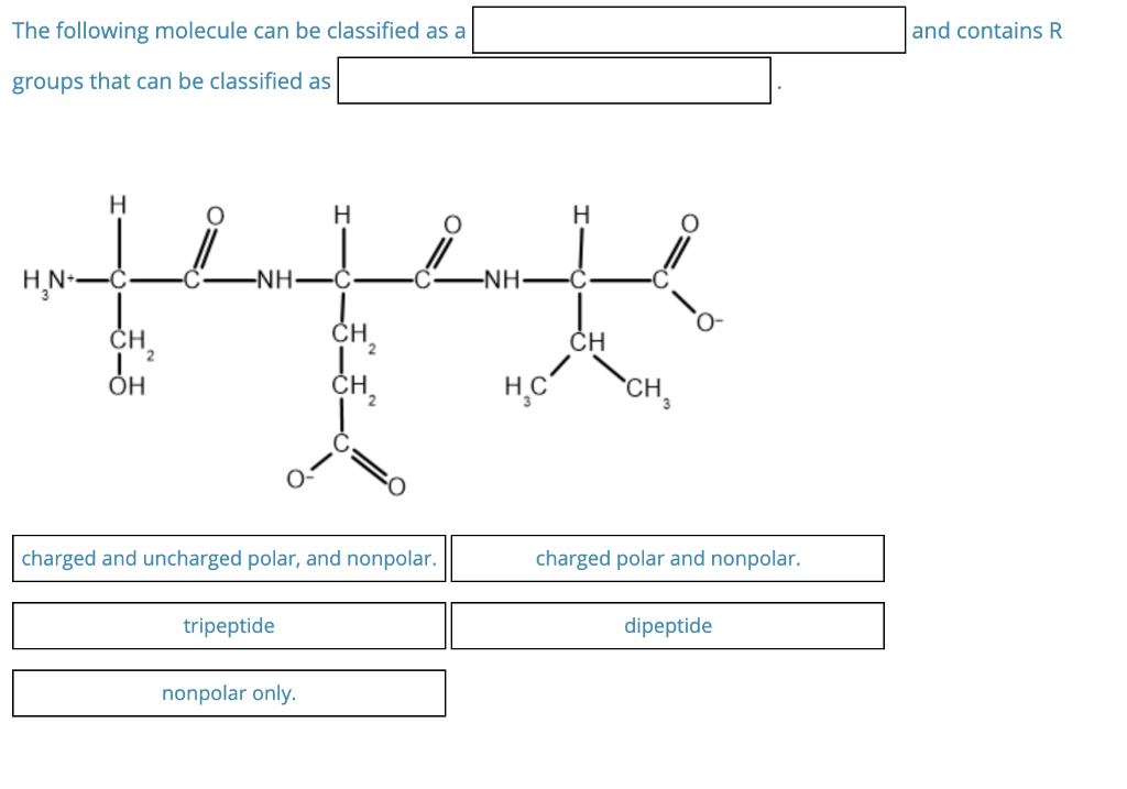 Solved The following molecule can be classified as a and | Chegg.com