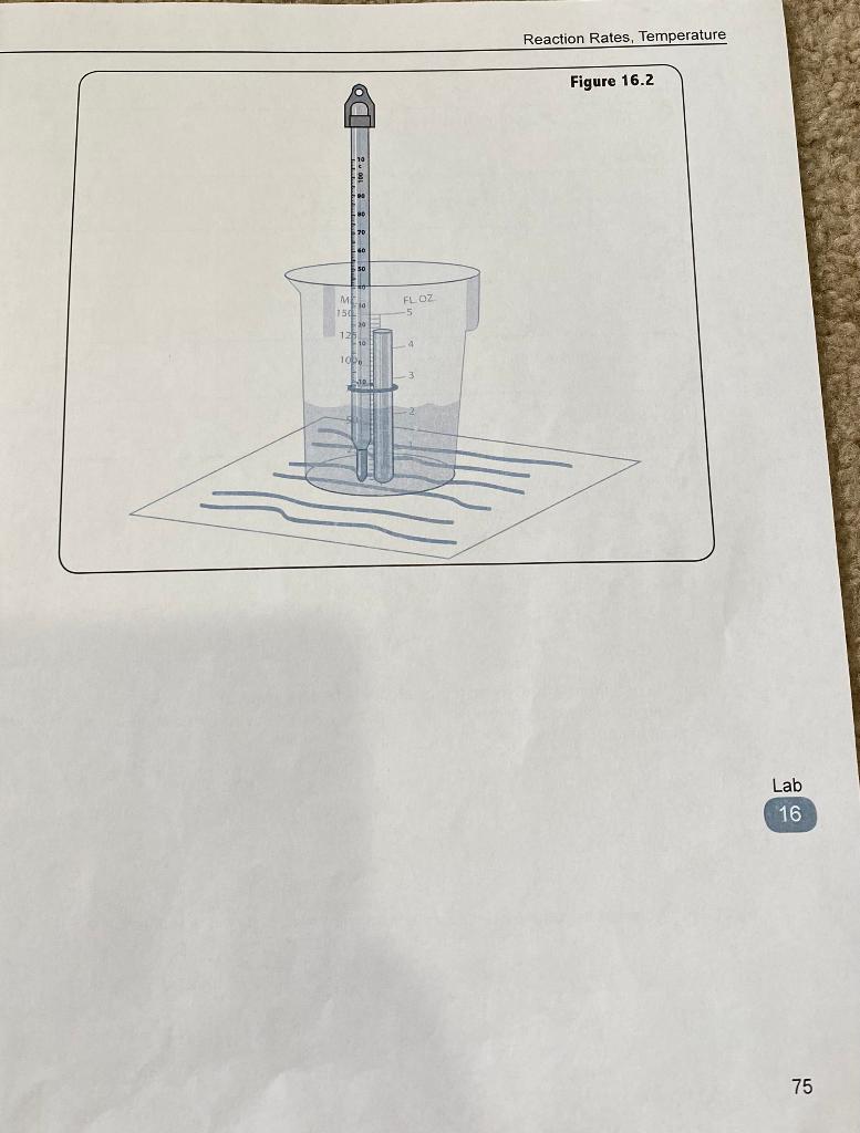 Reaction Rates, Temperature LAB 16: REACTION RATES, | Chegg.com