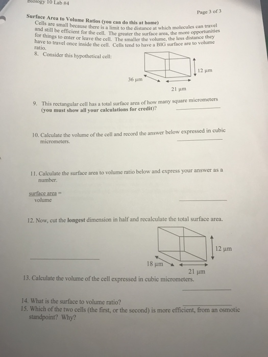 Solved Biology 10 Lab #4 Page 3 of 3 Surface A rea to Volume | Chegg.com
