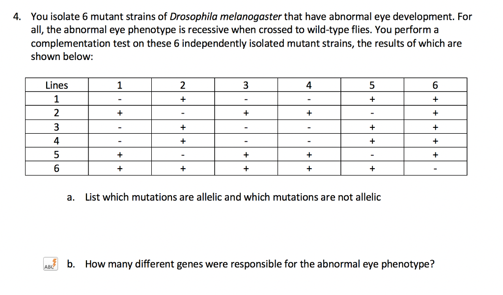 Solved You isolate 6 mutant strains of Drosophila | Chegg.com