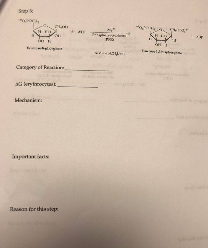 Glycolysis Worksheet Overview of the pathway: Phase I | Chegg.com