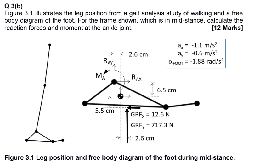 Solved Figure 3.1 illustrates the leg position from a gait | Chegg.com