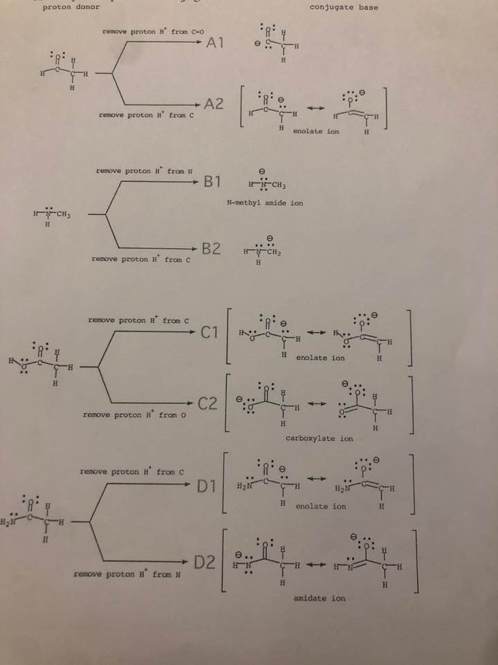 Solved proton acceptor conjugate acid . add proton n' to co | Chegg.com