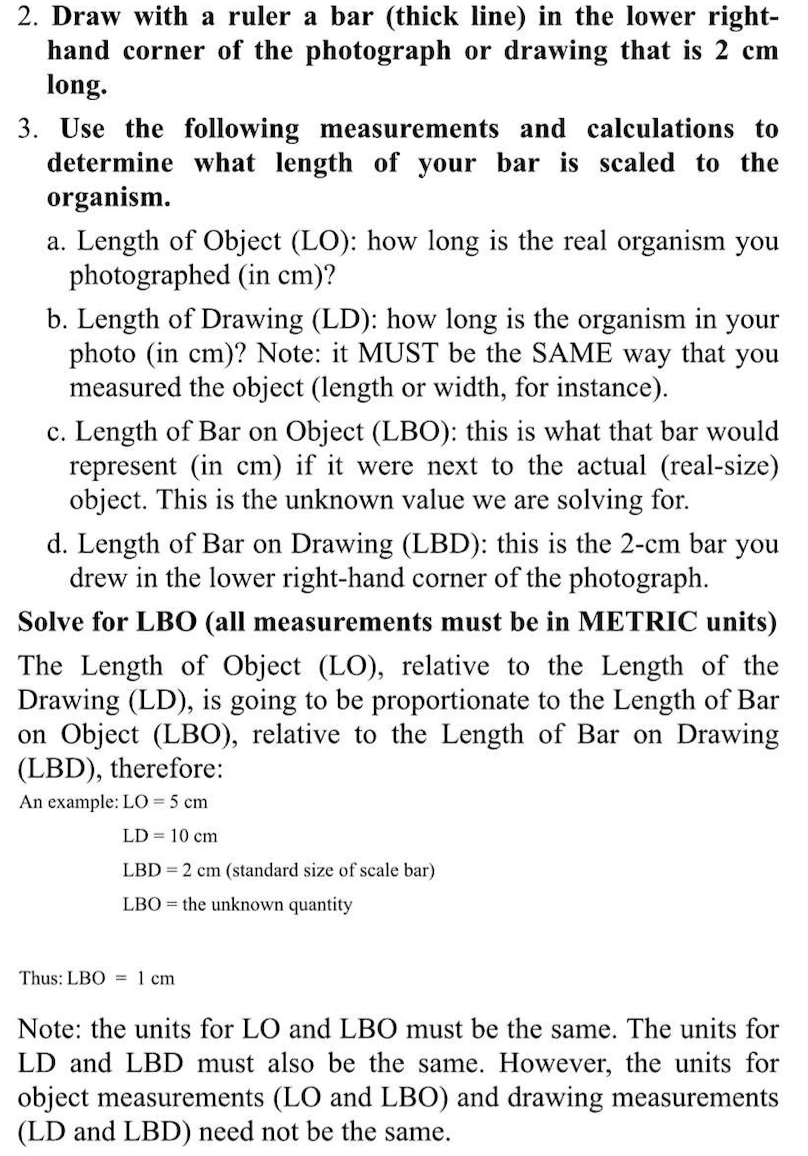 Solved 2. Draw with a ruler a bar (thick line) in the lower | Chegg.com