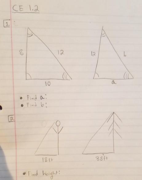 Solved #1 is finding the missing sides from similar | Chegg.com