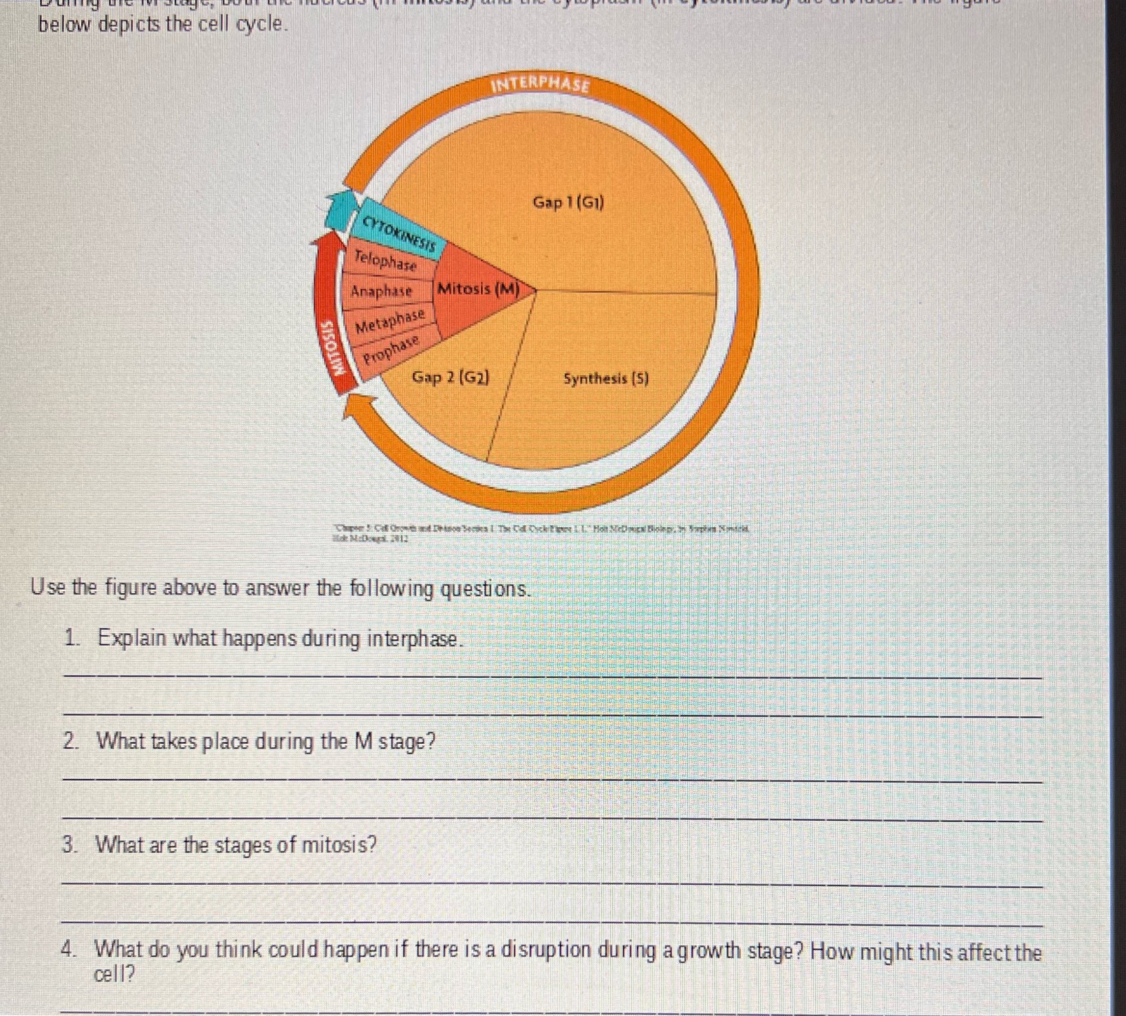 Solved Use the figure above to answer the following | Chegg.com