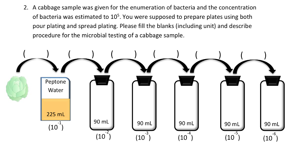 Solved 2. A cabbage sample was given for the enumeration of | Chegg.com