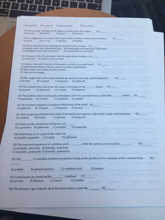 Solved A) Ls and St )Ti and T2 atlas and axds )T1z and L1 | Chegg.com