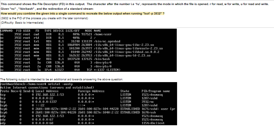 This command shows the File Descriptor (FD) in this | Chegg.com