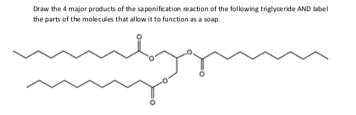 Solved Draw the 4 major products of the saponification | Chegg.com