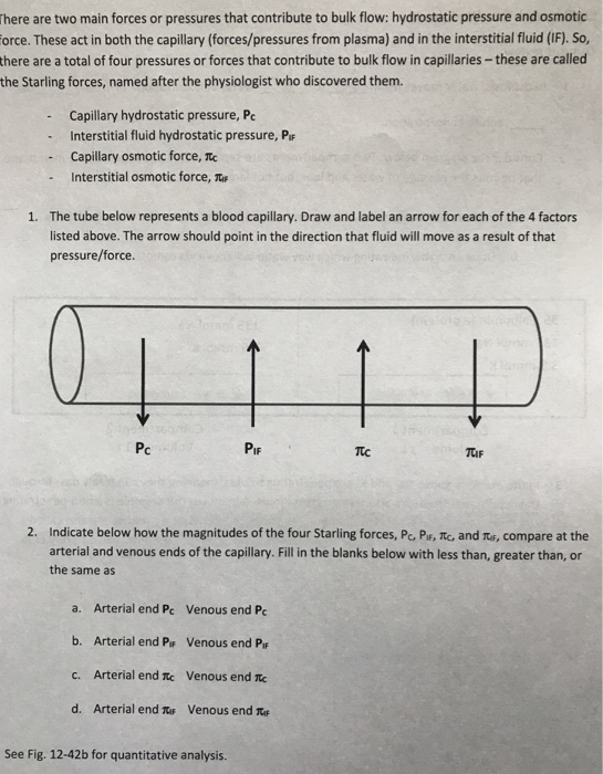 Solved There are two main forces or pressures that | Chegg.com