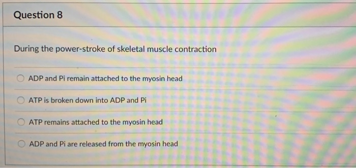 Solved Question 8 During the power-stroke of skeletal muscle | Chegg.com