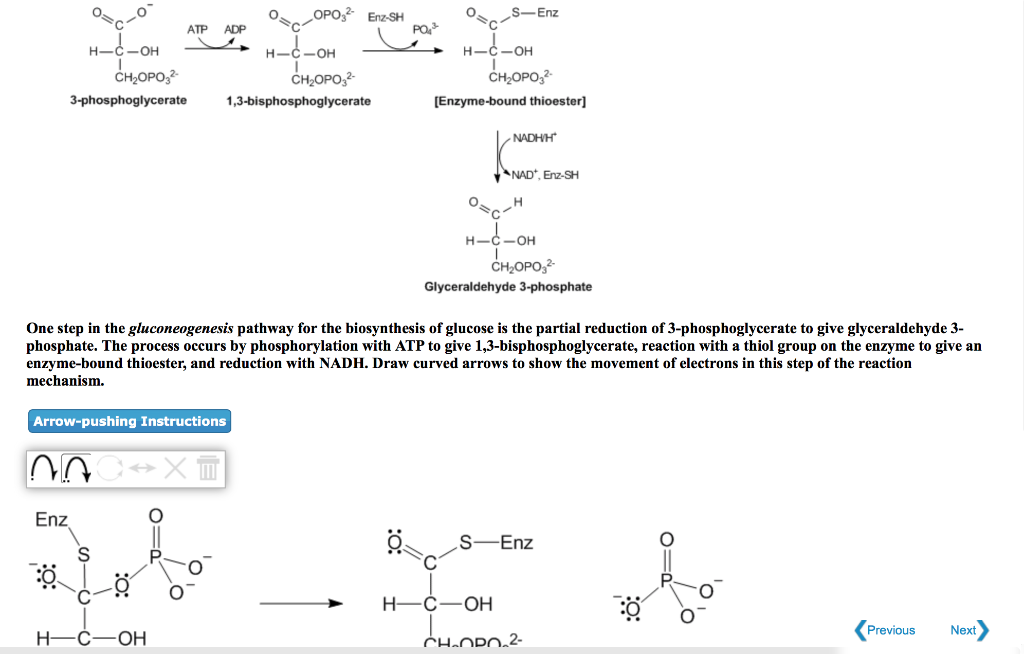 Solved PO H-C-OH H-C-OH CH2OPO [Enzyme-bound thioester] | Chegg.com