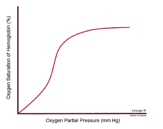 Solved Hb’s O2 binding curve is shown below. Shifting this | Chegg.com