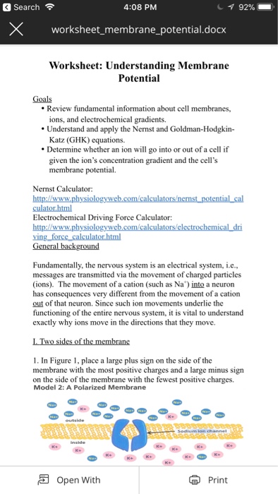 Solved Search令 4:08 PM worksheet_membrane_potential.docx | Chegg.com