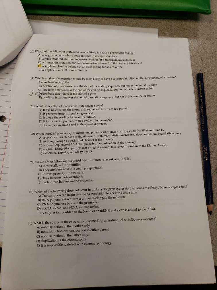 Solved 20 Which Of The Following Mutations Is Most Likely