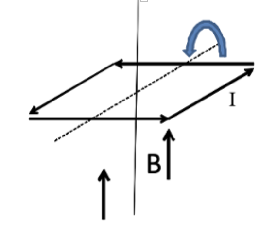 Solved Consider The Torque Acting On The Loop Of Wire Shown