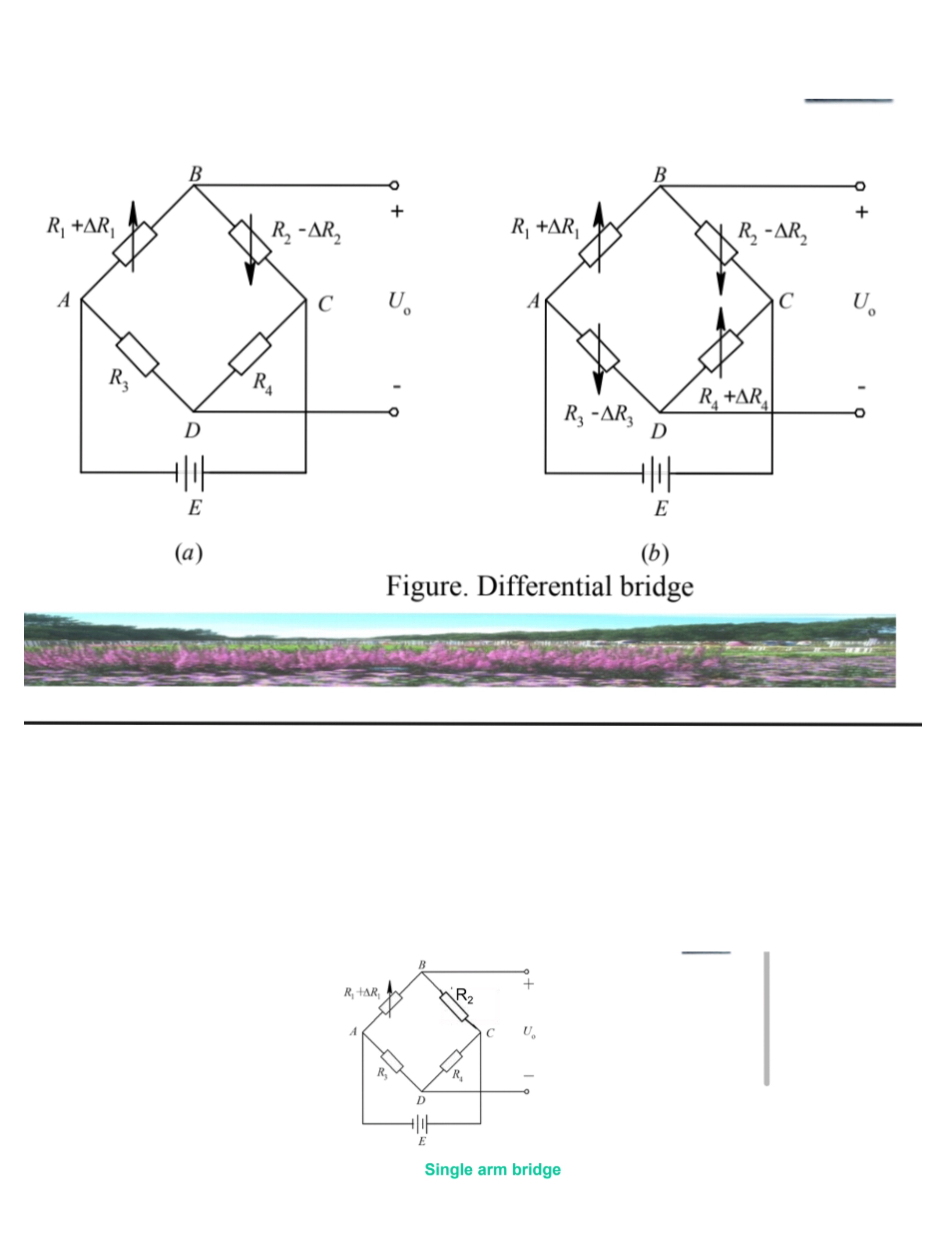 Solved 1.Calculate the output voltages of single arm | Chegg.com
