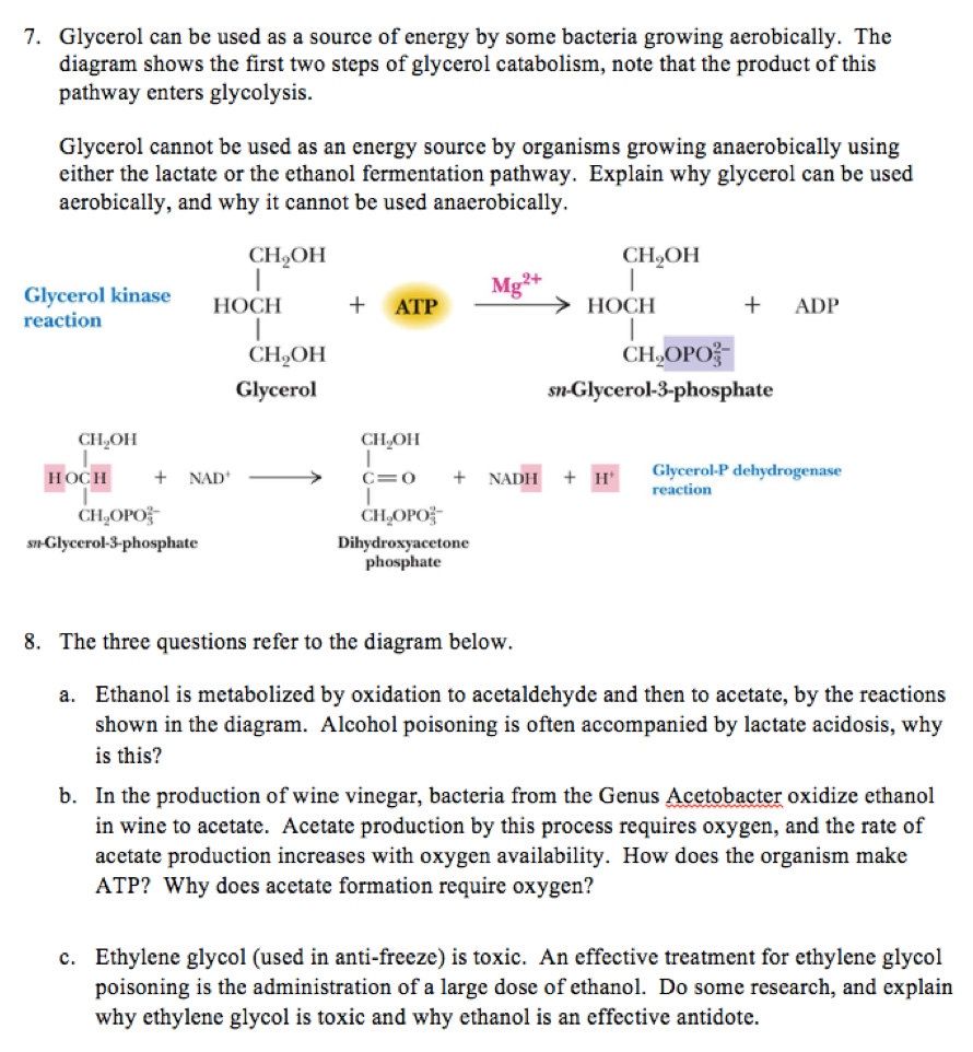 Solved 7. Glycerol can be used as a source of energy by some | Chegg.com